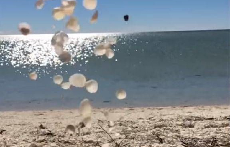 Η Shell Beach στις καλύτερες παραλίες του κόσμου από το National ...