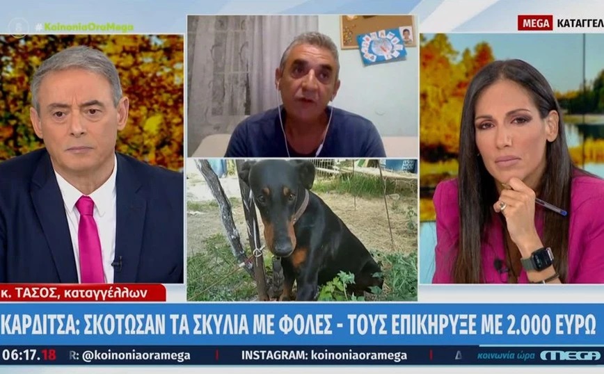 Καρδίτσα: Σκότωσαν με φόλες δύο σκυλιά του και τους επικήρυξε με 2.000 ...