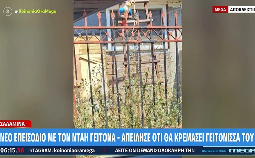 Σαλαμίνα: Νέο επεισόδιο με τον «νταή» γείτονα – Απείλησε πως θα ...