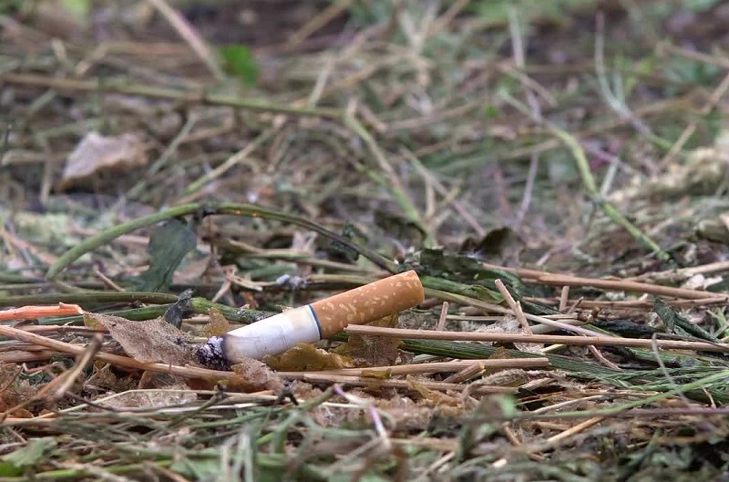 Θεσσαλονίκη: Πρόστιμο σε καπνιστή που πέταξε αναμμένο τσιγάρο στο δάσος ...