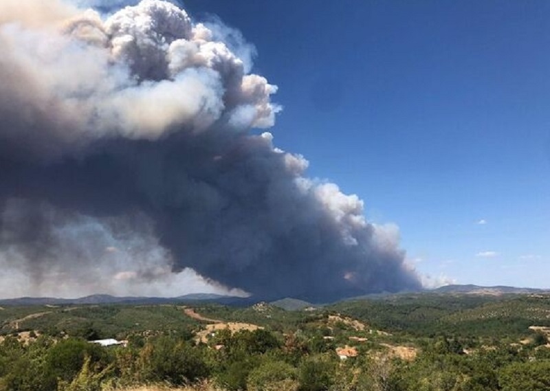 Φωτιές στον Έβρο: Ανησυχία για την κατεύθυνση του πύρινου μετώπου που ...