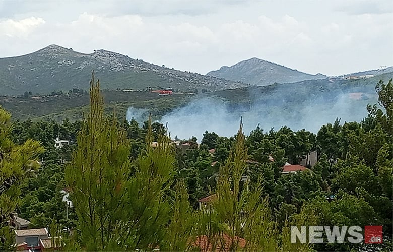 Προσήχθη ύποπτος για τη φωτιά στη Σταμάτα – Βελτιωμένη η εικόνα της ...