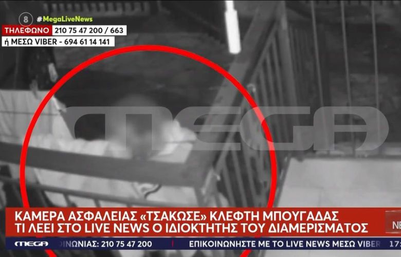Βίντεο-σοκ με διαρρήκτη να κλέβει την απλωμένη μπουγάδα από σπίτι στην ...
