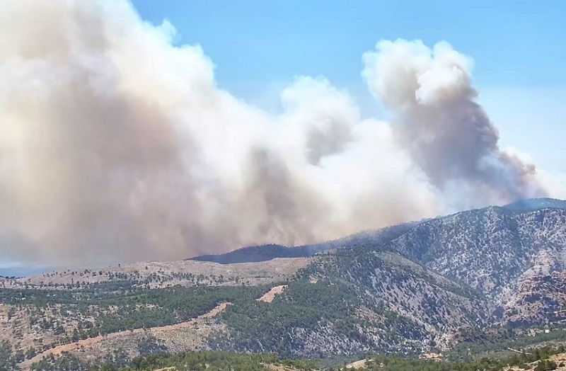 Εκτός ελέγχου η μεγάλη φωτιά στη Χίο – Ήχησε το 112 – Ενισχύσεις από ...